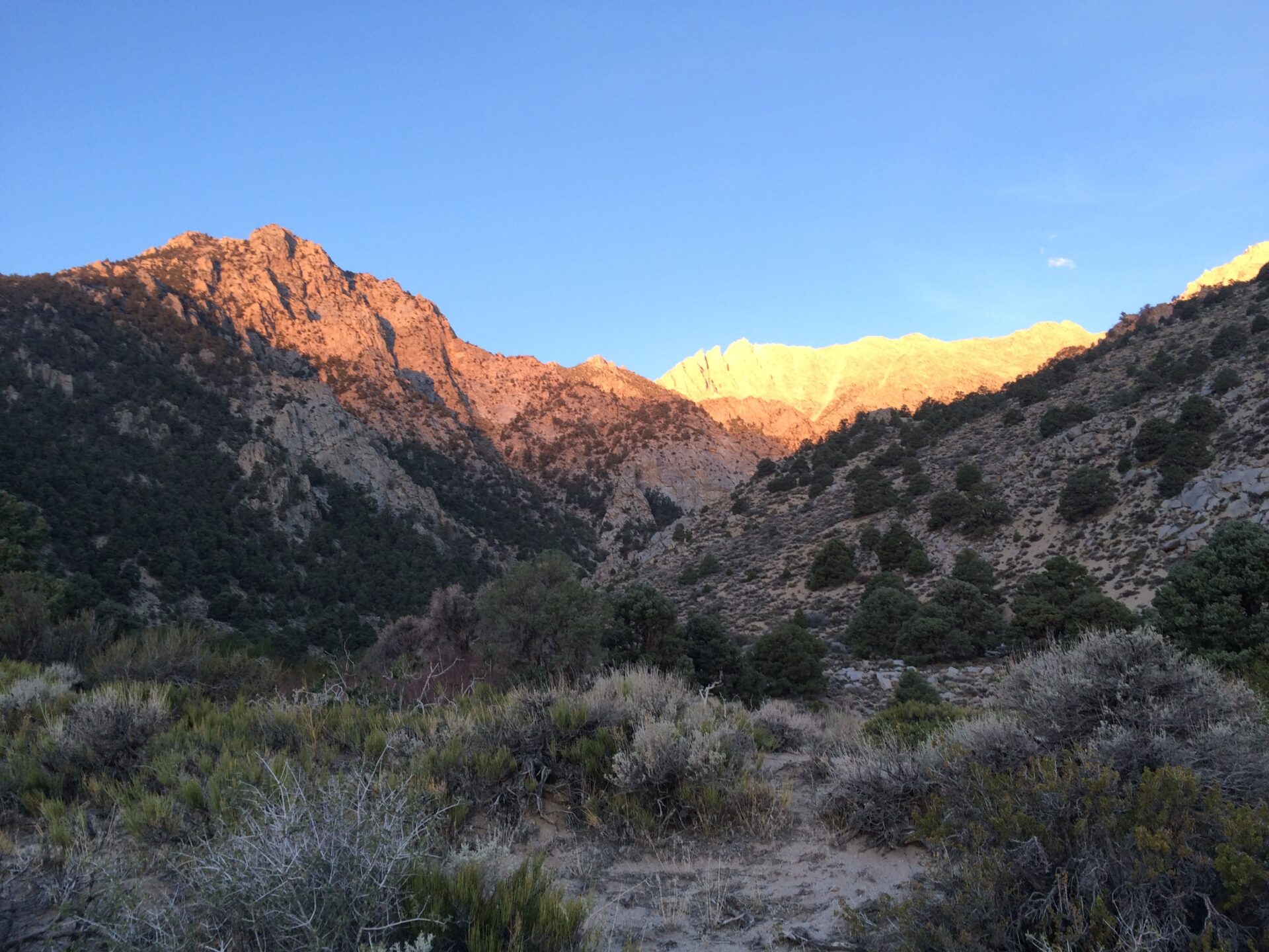 Trail Report: Mt. Williamson from Shepard’s Pass – Backcountry Nomad ...